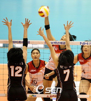 '한송이 23점' 도로공사, KT&G에 3연패 설욕 - OSEN