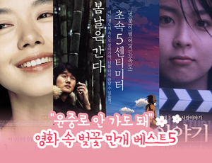 [Oh!쎈 탐구] "윤중로 안 가도 돼"..봄에 꽃피는 로맨스 명작 5 - OSEN