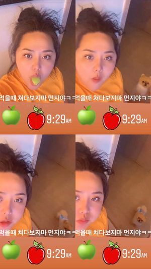 '50kg대 목표' 홍선영, "먹을 때 쳐다보지마" 반려견 앞 사과 먹방 [★SHOT!] - OSEN