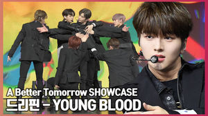 [4K] 드리핀(DRIPPIN) - Young Blood(영 블러드) 쇼케이스 무대영상 [O! STAR] - OSEN
