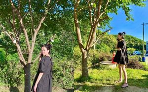 ‘12kg 감량’ 고은아, 다이어트 성공하더니 미니 원피스도 완벽 소화 [★SHOT!] - OSEN