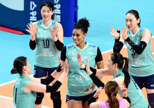 [사진]GS칼텍스 '득점에 박수' - OSEN