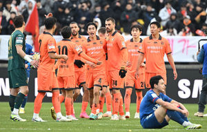 [사진]강원 FC,'살아남았다' - OSEN