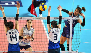 [사진] 타나차, 반대편을 노렸다. - OSEN