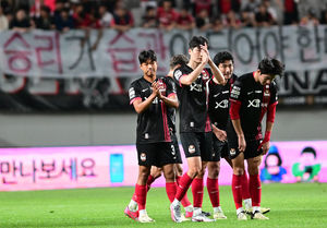 [사진]FC 서울,'승리 습관은 멀었다' - OSEN