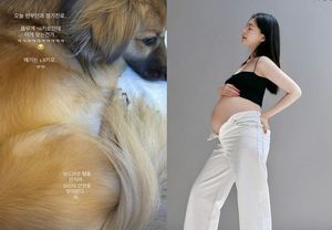 '임신 9개월' 이다은, 몸무게 76kg.."이게 맞는건가?"[★SHOT!] - OSEN