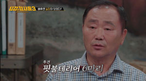 '용감한형사들3' 70억 사기친 쇼핑몰 대표, 하루 아침에 살해? "400평 땅에 핏불테리어가!" [어저께TV] - OSEN