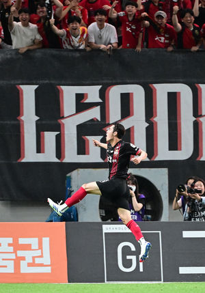 [사진]FC서울 강성진, '후반 추가골에 날아올라' - OSEN