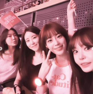 '이혼 진흙탕' 서유리 →'쌍수+9kg 증량' 레이디제인, 재밌는 건 못참지 [★SHOT!] - OSEN