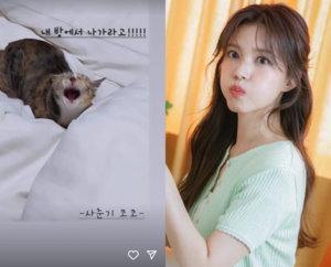 '백윤식 며느리' 정시아 "내 방에서 나가라고!"..사춘기 어쩌나 [★SHOT!] - OSEN