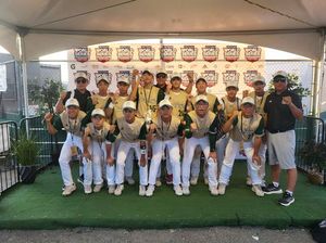 2024 U-13 대표팀, 세계리틀야구 INTERMEDIATE(50/70) 월드시리즈 2연승 - OSEN