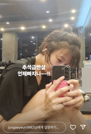 '김명민 아내' 정애연, 168cm인데 몸매 망언 "추석급찐살 언제 빠지니" [★SHOT!] - OSEN