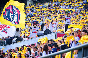 [사진]준PO 1차전에서 뜨거운 응원 펼치는 LG 팬들 - OSEN