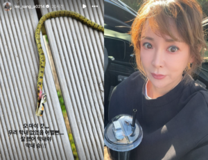 '김한석 저격' 이상아, 큰일 피했다..2층 전원주택에 뱀 출몰 [★SHOT!] - OSEN