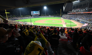 역대급 돈잔치 예고, 광주 5차전도 매진...2024 PS 16G 완판 [KS5] - OSEN