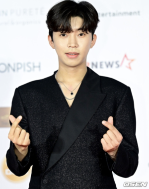 "임영웅 진짜 싫다→한국인 자격없어"..DM논란에 공개 저격까지 (Oh!쎈 이슈) - OSEN