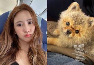 '세븐♥︎' 이다해, 가슴아픈 소식 전했다 "엄마가 미안해.." 울컥[★SHOT!] - OSEN