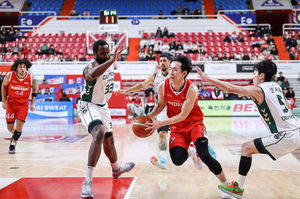 '프림 28점' 현대모비스, DB 제압...'버튼 46점' KCC는 가스공사에 승리 - OSEN