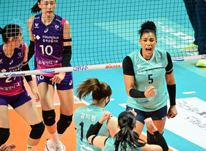 [사진]포효하는 실바 - OSEN