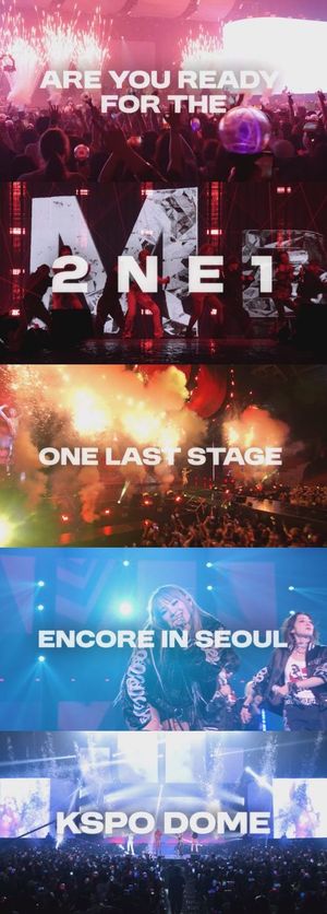 2NE1, 또 피켓팅 온다 - OSEN