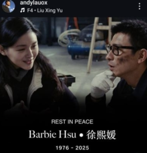 "故서희원 사망, 마른 하늘의 날벼락" 류덕화→대만배우들도 '추모ing' (Oh!쎈 이슈) - OSEN