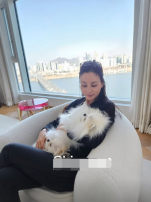 '장동건♥' 고소영, '164억' 펜트하우스에서 내려다본 '럭셔리 한강뷰' 자랑 - OSEN