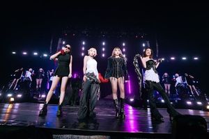 2NE1, 성공적 재결합..산다라박 "기적처럼 다가와" 소감 - OSEN