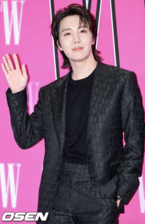 '조카바보' BTS 제이홉, 깜짝 '결혼' 언급했다.."비혼주의NO" ('나혼산') - OSEN