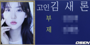 열흘째 故김새론 둘러싼 각종 '논란+의혹' 파묘ing..대중들 피로감 높인다 (Oh!쎈 이슈) - OSEN