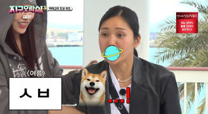 미미, 나영석PD 퀴즈에 시원하게 XX 욕설 "방송 안되나" 뒤늦은 걱정 ('지락실3') [종합] - OSEN