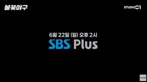 SBS플러스, ‘불꽃야구’ 생중계 이유 밝혔다..“시청자 즐길 권리 있어” [공식] - OSEN