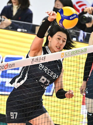 황택의·양효진·강소휘, 2025~2026 V-리그 연봉왕 등극 - OSEN