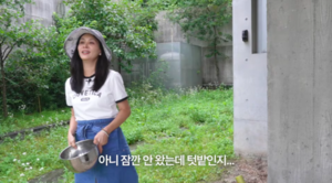 고소영, 도둑 든 ‘400평’ 가평집서 사과..왜? “너무 경솔했다” (고소영) - OSEN