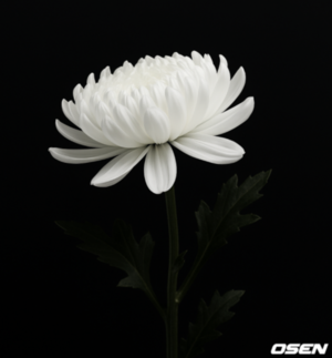 병상에서도 소송준비..'방귀대장뿡뿡이' 출신PD, 투병 끝 별세.."PD환경 바뀌길" - OSEN