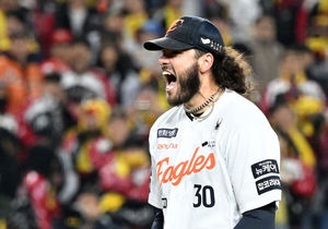 "한화에서 전환점, 페디 215억 넘어도 놀랍지 않아"…폰세 향한 ML 강력 러브콜 임박, 한화는 지킬 수 있을까 - OSEN