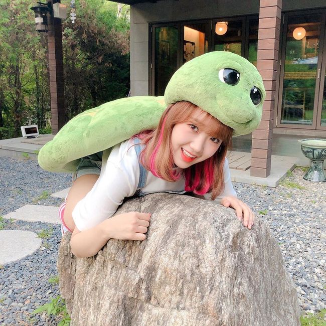 "댕북이에요"…위키미키 최유정, 9kg 감량 후 물오른 미모 [★SHOT!]