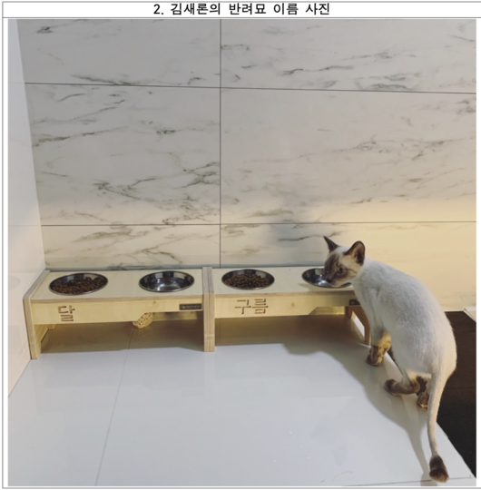 왜 다시 폭로했나..."우리는 어렵잖아" 김새론母, 김수현 미성년 교제 6개 증거 '분쟁ing' [Oh!쎈 이슈] - OSEN